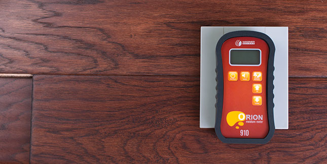 5 Best Moisture Meters for Wood in 2021 - Wagner Meters