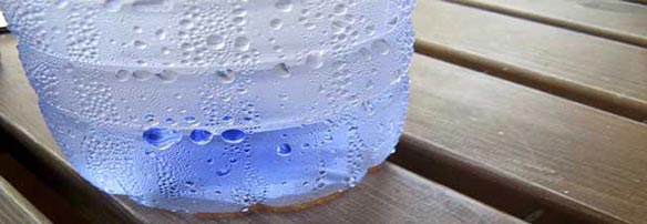 Understanding Wood Moisture Content & Why It's Important