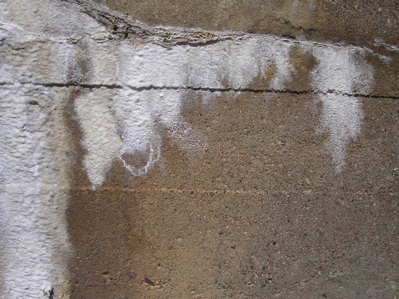 The Dangers of Concrete That Sweats! - Wagner Meters